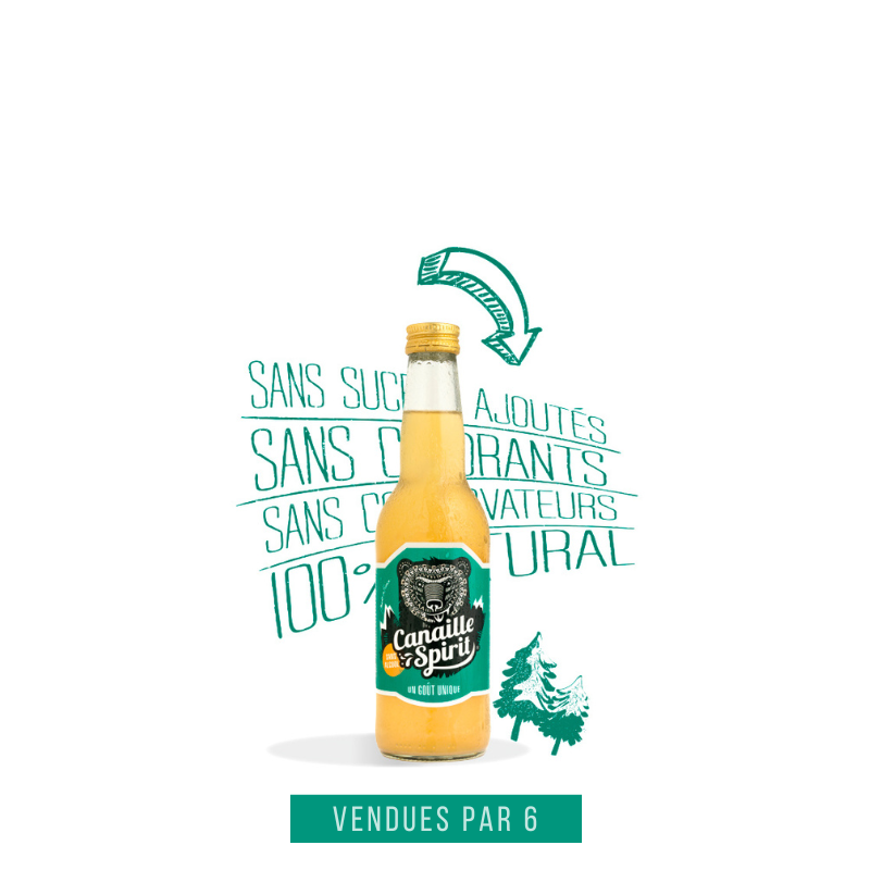 Canaille Spirit | Boisson Miel, Citron, Gingembre, Pomme - 33 cL-(x 6 ...