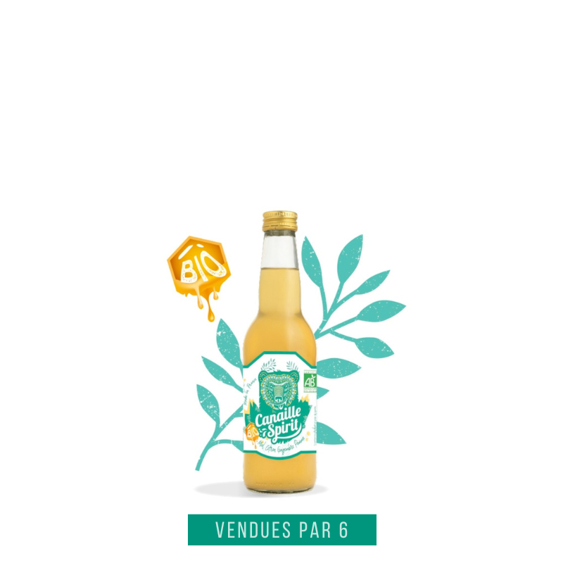 Canaille Spirit | Boisson BIO, Miel, Citron, Gingembre, Pomme - 33 cL ...