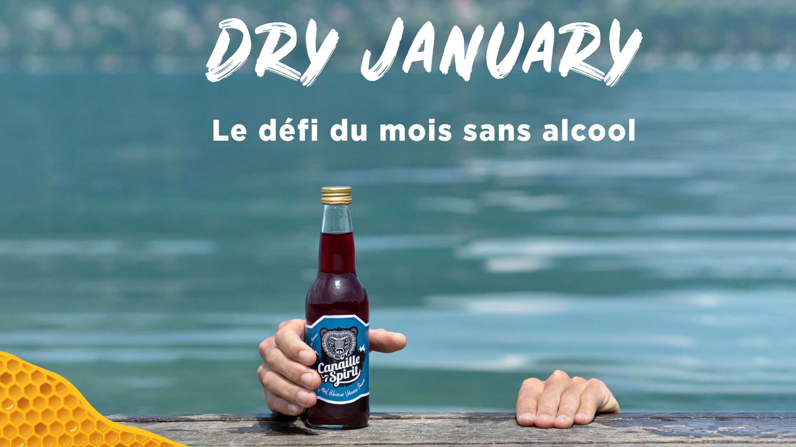 Canaille Spirit | Dry January le défi du mois sans Alcool