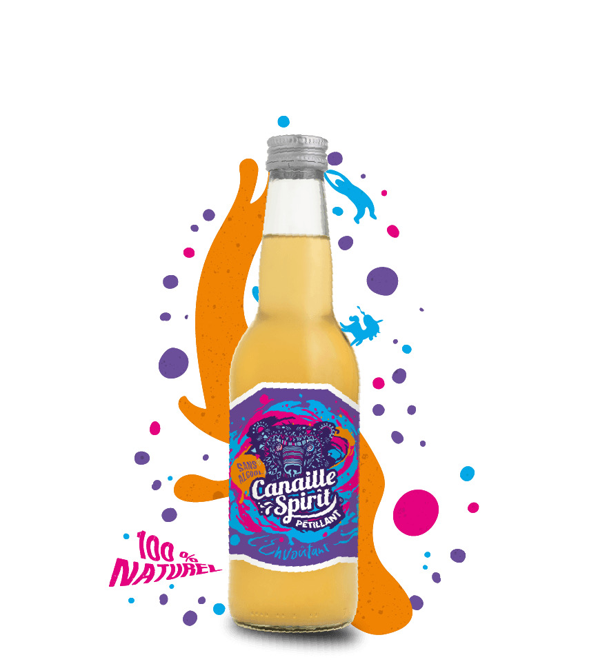 Canaille Spirit | Boisson Pétillante Miel, Citron, Gingembre, Pomme ...
