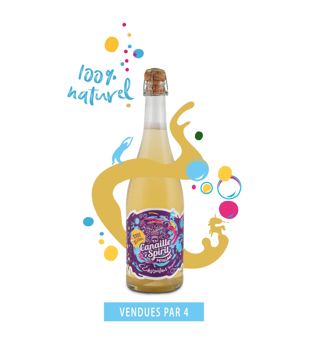Canaille Spirit | Boisson Pétillante Miel, Citron, Gingembre, Pomme ...